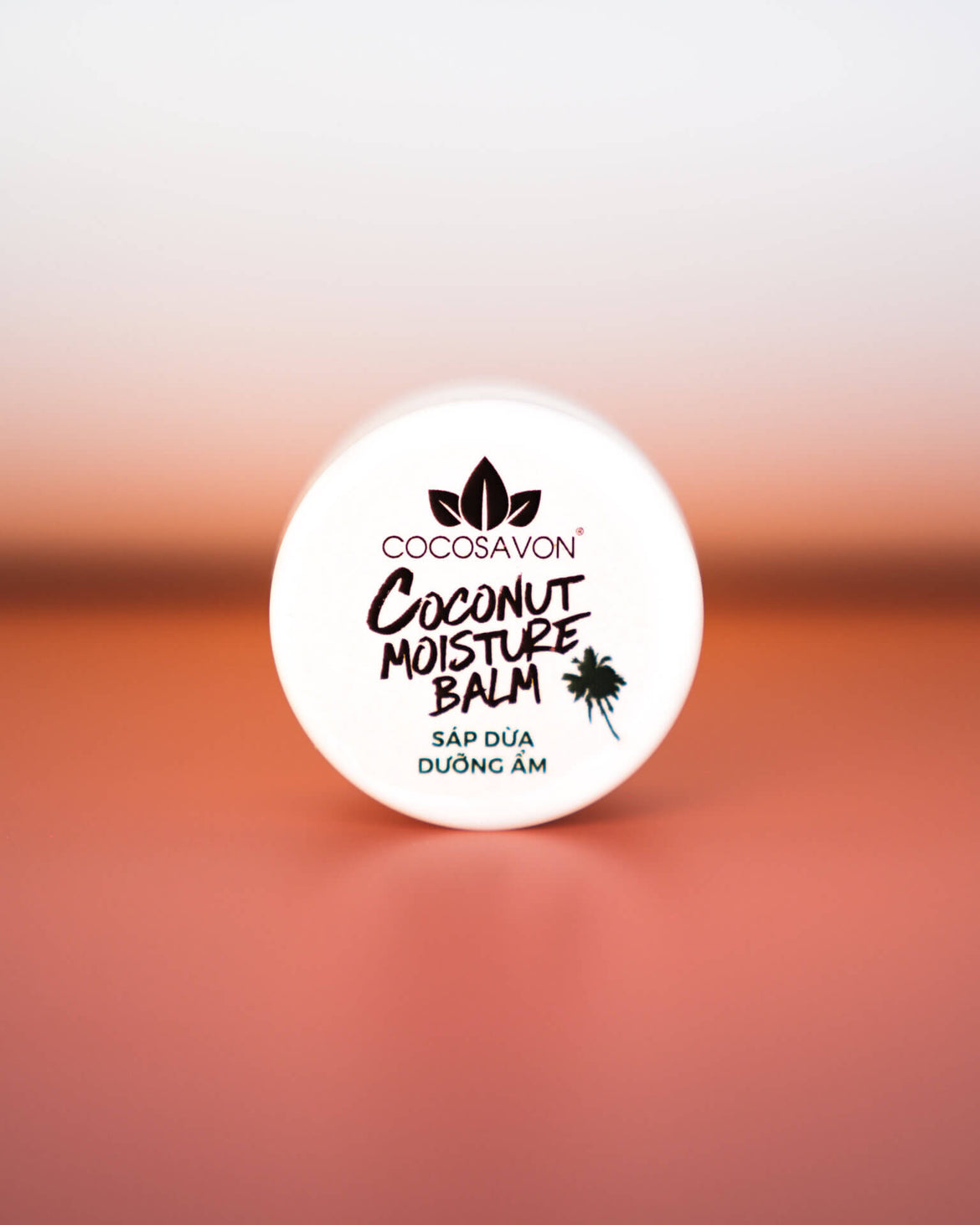 Solid and gradient backdrop collection for product & food photography ...